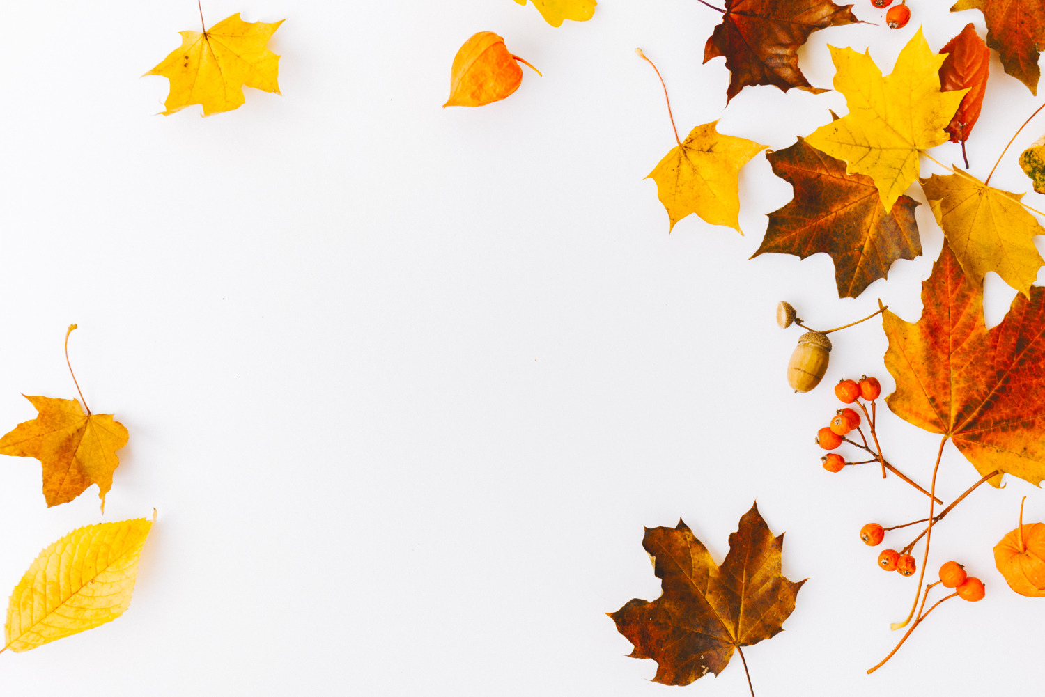 Vacances d’automne | Groupe Scolaire Iqra